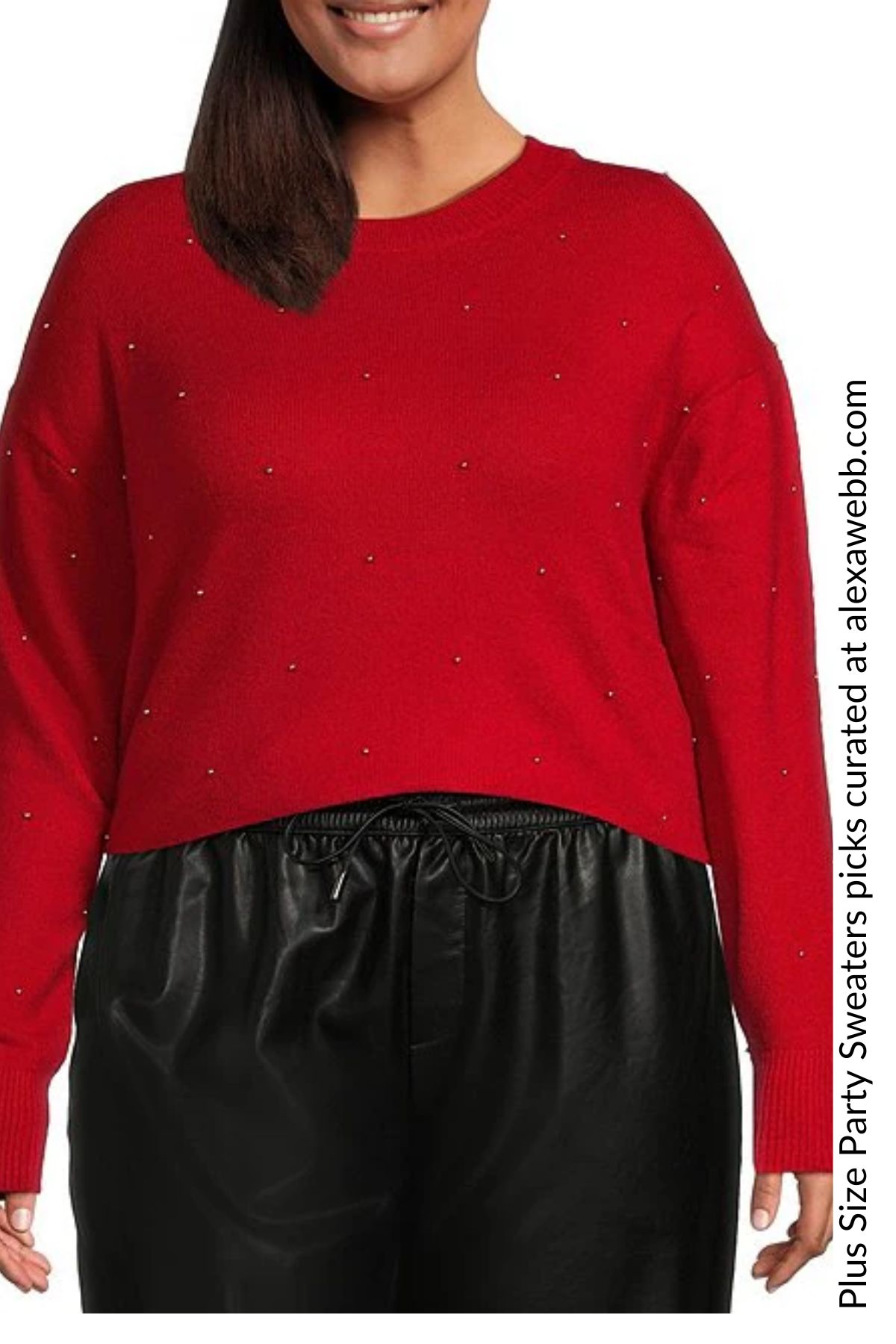 36 Plus Size Party Sweaters - Alexa Webb