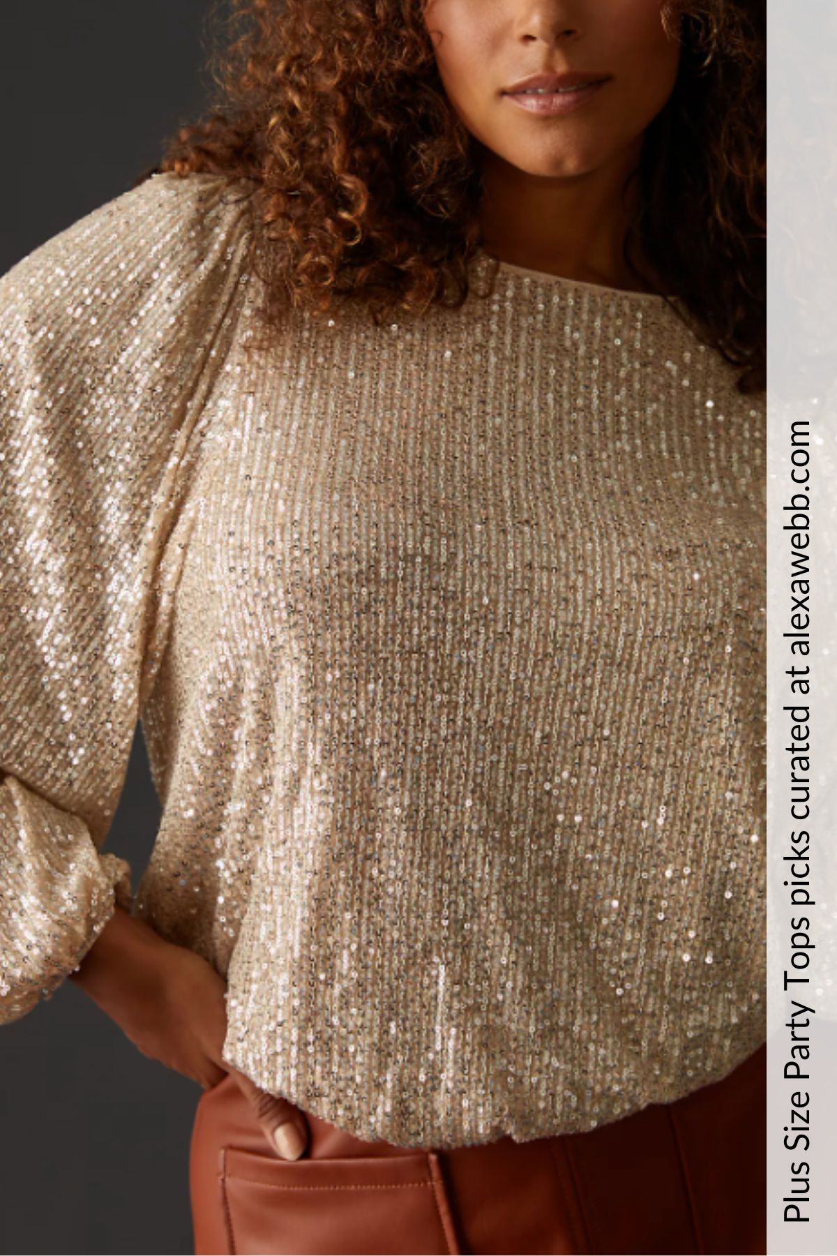 33 Plus Size Party Tops {with Sleeves} - Alexa Webb